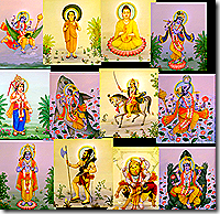 Krishna's Mercy: 2/14/10 - 2/21/10